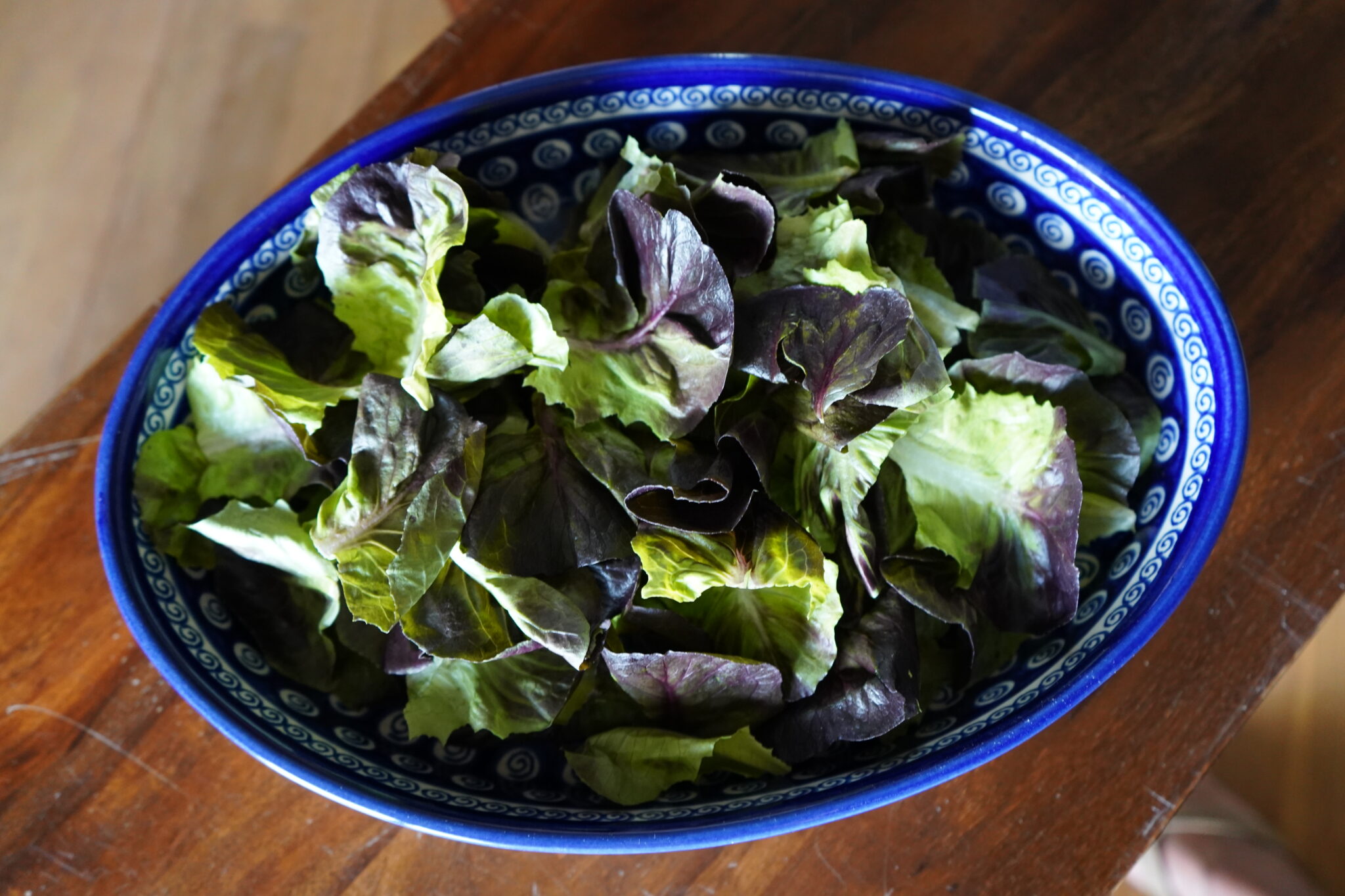 Dill & Grape Salad Recipe - With Tahini Dressing - britstable.com