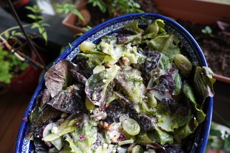 Dill & Grape Salad Recipe - With Tahini Dressing - britstable.com